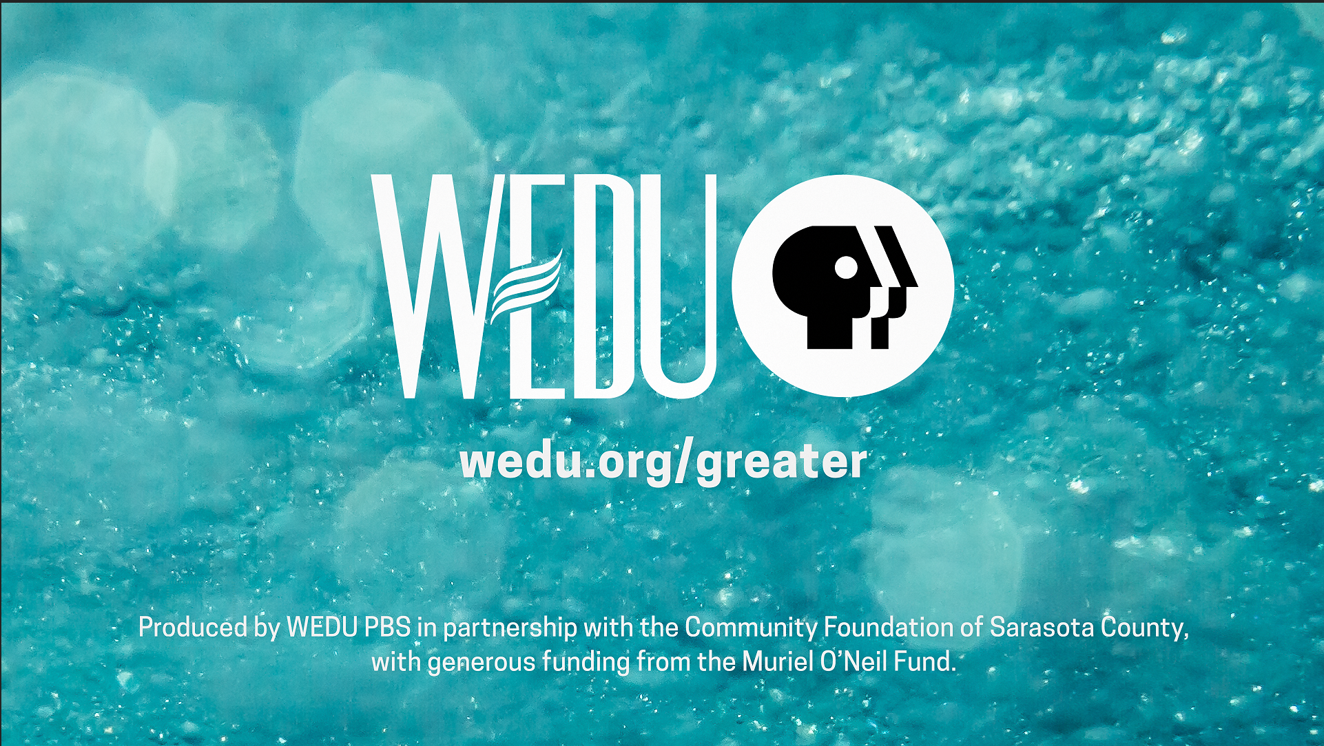 WEDU PBS Launches Digital-First Docuseries Greater Sarasota